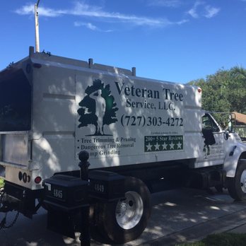 VETERAN TREE SERVICE - Updated January 2026 - 38 Photos & 25 Reviews ...