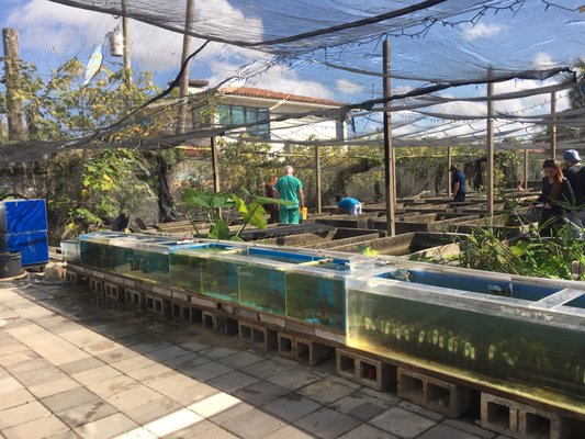 NEIGHBORHOOD FISH FARM - 67 Photos & 58 Reviews - Local Fish Stores ...