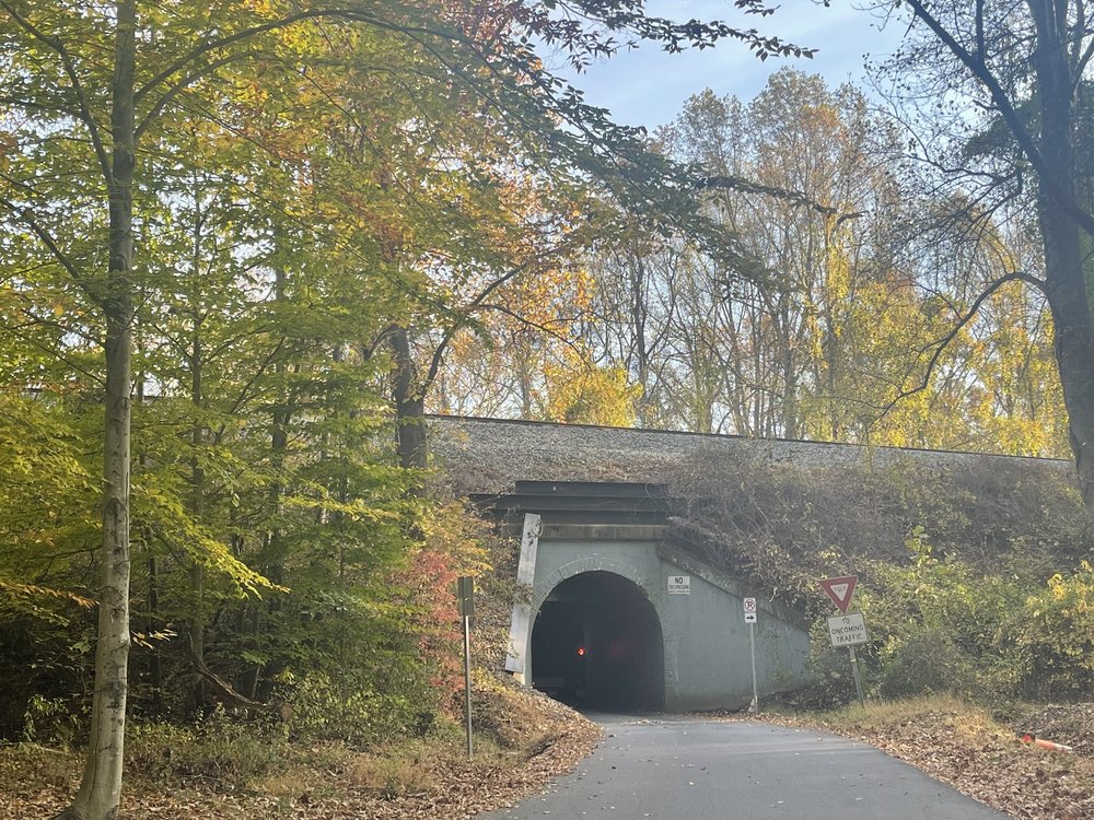 BUNNY MAN BRIDGE - Updated December 2025 - 18 Reviews - Clifton ...