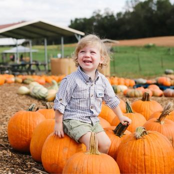 TATE FARMS - Updated December 2025 - 18 Photos & 10 Reviews - 8414A ...