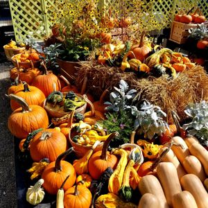 SALISBURY FARM - Updated January 2026 - 103 Photos & 37 Reviews - 11 ...