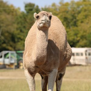 VICARI ITALIAN GRILL - Updated August 2025 - 136 Photos & 84 Reviews ...