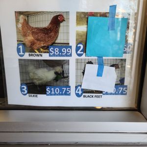 PITMAN FAMILY FARMS - 15 Reviews - 1489 K St, Sanger, California - Meat ...