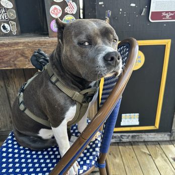 RED’S ICE HOUSE - Updated July 2024 - 820 Photos & 994 Reviews - 98 ...