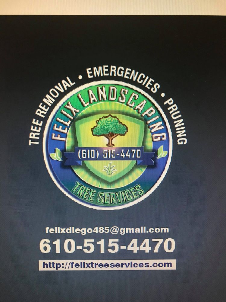 FELIX LANDSCAPING AND TREE SERVICES - Updated March 2025 - Request a ...
