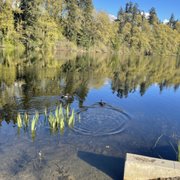 LAKE FENWICK PARK - 108 Photos & 27 Reviews - 25828 Lake Fenwick Rd ...