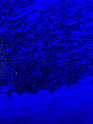 GREEN CLEAN EXPRESS AUTO WASH - VA BEACH BLVD - Updated December 2025 ...