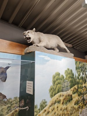 SAN DIMAS CANYON NATURE CENTER - Updated November 2024 - 49 Photos & 15 ...