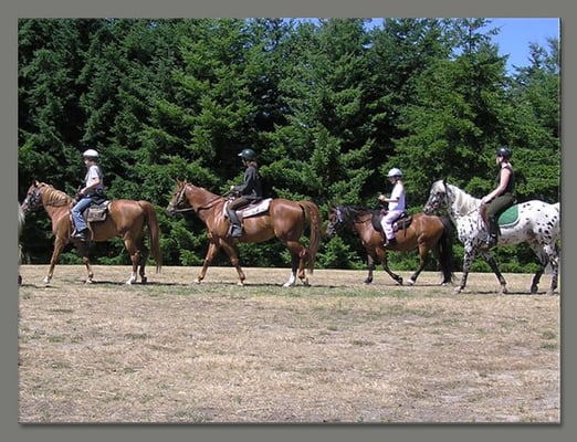 WESTSIDE STABLES - Updated September 2025 - 21200 Westside Hwy SW ...