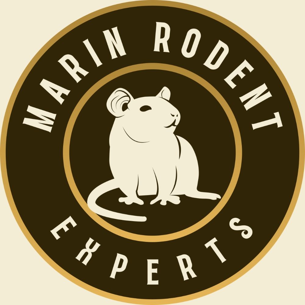 MARIN RODENT EXPERTS - Updated April 2026 - Request a Quote - 1041 3rd ...