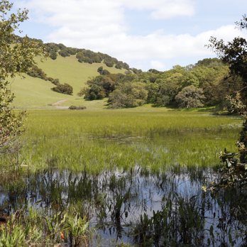 MT. BURDELL OPEN SPACE PRESERVE - Updated January 2026 - 167 Photos ...