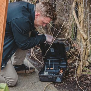 TRIGUARD PEST CONTROL - Updated December 2025 - 61 Photos & 416 Reviews ...