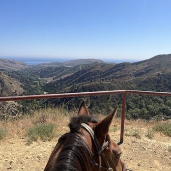 CIRCLE BAR B STABLES - Updated September 2024 - 667 Photos & 457 ...