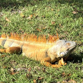 SAMUEL J. FERRERI COMMUNITY PARK - Updated August 2025 - 70 Photos ...