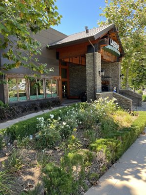 LASSENS NATURAL FOODS & VITAMINS - Updated August 2024 - 100 Photos ...