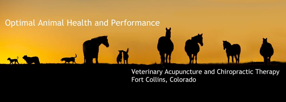 OPTIMAL ANIMAL HEALTH AND PERFORMANCE - Updated October 2025 - 7755 ...