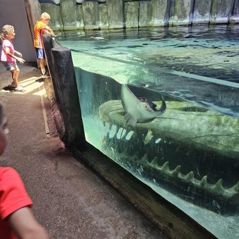HOUSTON INTERACTIVE AQUARIUM AND ANIMAL ADVENTURE - Updated October ...