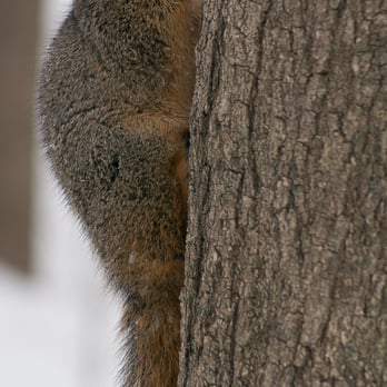 VALHALLA PARK - Updated October 2025 - 18 Photos - 4000 Keller Rd, Holt ...