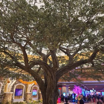 BARONA RESORT & CASINO - Updated May 2024 - 1260 Photos & 1263 Reviews ...