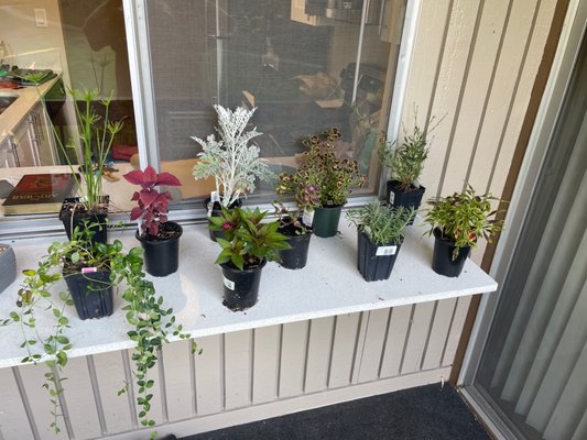 HOMESTEAD NURSERY - Updated June 2026 - 1720 E 6400 S, Salt Lake City ...