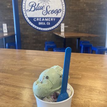 BLUE SCOOP CREAMERY - Updated July 2024 - 66 Photos & 49 Reviews - 391 ...