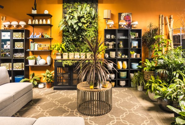 JUNGLE BOX - Updated December 2025 - 140 Photos & 42 Reviews - 1735 E ...