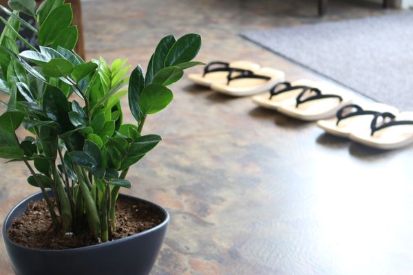 POCCA POCA - Updated January 2026 - 14 Photos - 3-840 Waverley Street ...