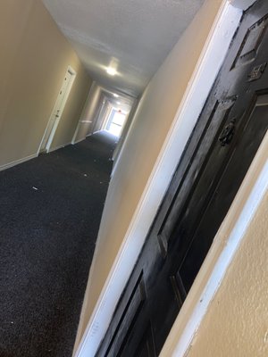CANFIELD LAKES APARTMENTS - 102 Photos & 13 Reviews - 13355 ...