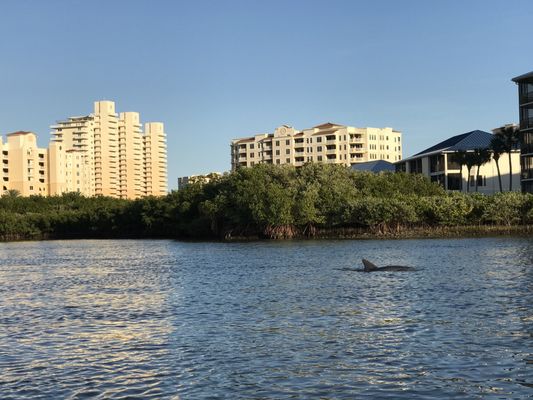 PONCE INLET WATERSPORTS - 114 Photos & 67 Reviews - 4958 S Peninsula Dr ...