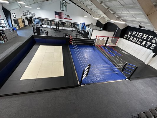 FIGHT SYNDICATE - BIG BEAR - Updated October 2025 - 16 Photos - 40679 ...