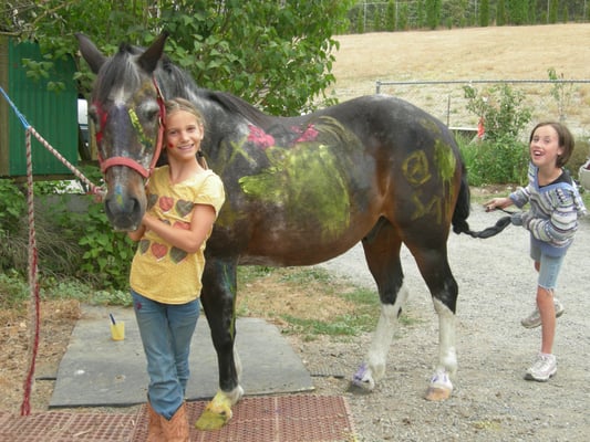 OVERLAKE FARM - Updated October 2025 - 10 Photos - 5652 132nd Ave NE ...