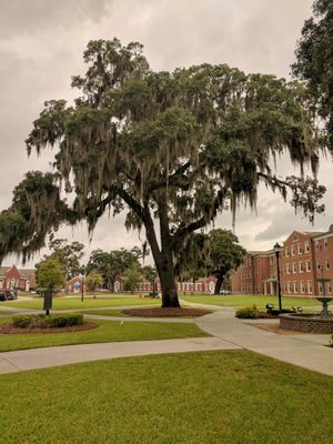 SAVANNAH STATE UNIVERSITY - Updated October 2025 - 44 Photos & 12 ...
