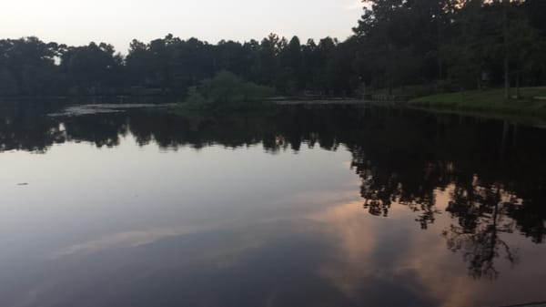 LAKE HOUSTON MARINA - Updated May 2026 - 10 Photos - 10611 Fm 1960 Rd ...
