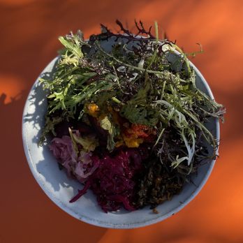 THE CULTURED PICKLE SHOP - Updated October 2024 - 66 Photos & 63 ...