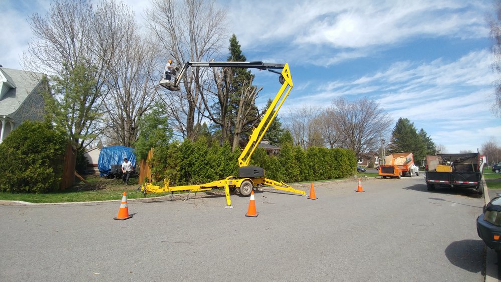 SERVICE D’ARBRE JEAN-NICOLAS MARTEL - Updated September 2025 - Saint ...