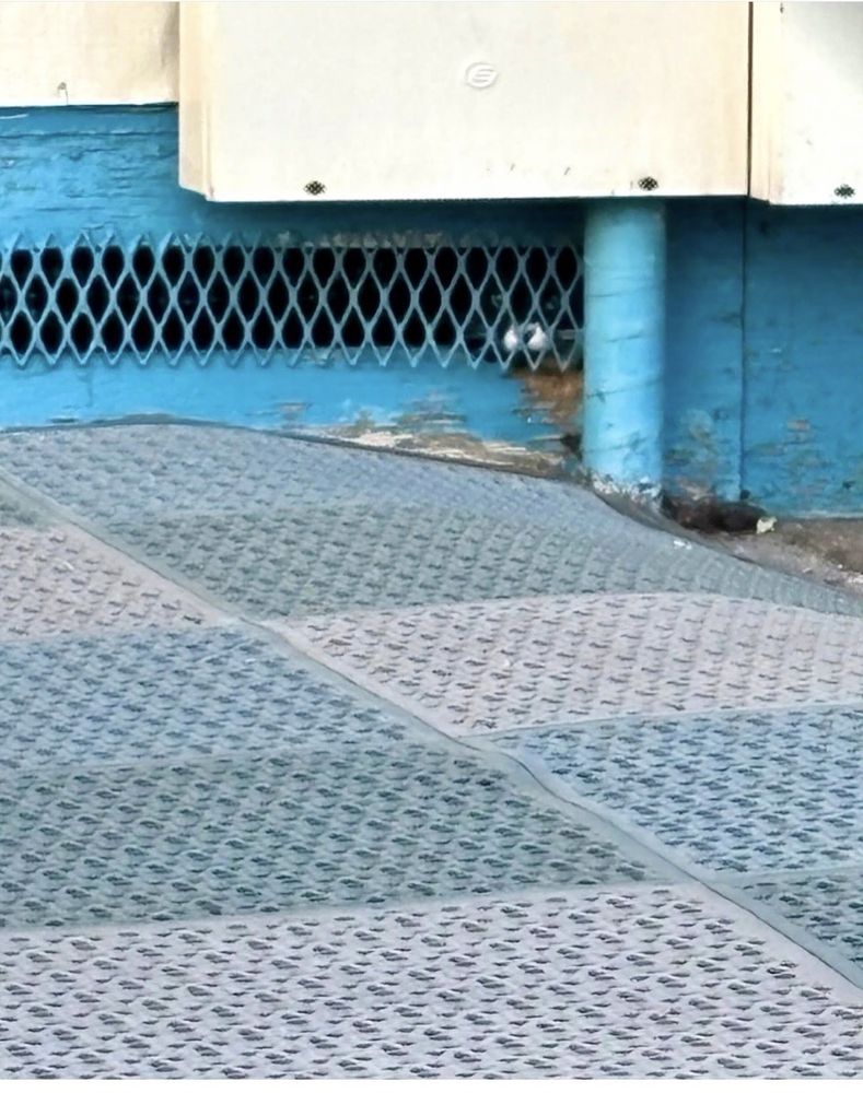 LIGGETT STREET ELEMENTARY SCHOOL - Updated December 2025 - 9373 ...