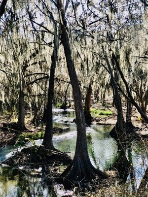 CASTROVILLE REGIONAL PARK - Updated July 2025 - 61 Photos & 17 Reviews ...