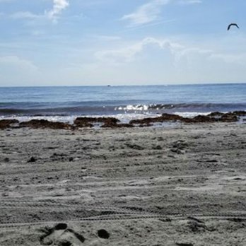 SOUTH INLET PARK - Updated January 2026 - 197 Photos & 31 Reviews ...