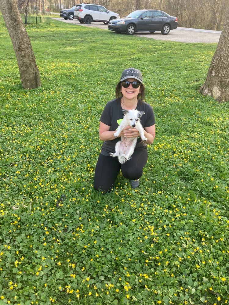 PORTER PET HOSPITAL - Updated November 2025 - 28 Photos & 51 Reviews ...