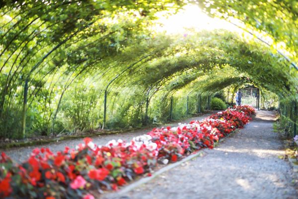 Point Defiance Park - Updated COVID-19 Hours & Services - 549 Photos ...