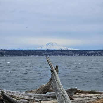 POINT ROBINSON PARK - Updated December 2025 - 213 Photos & 50 Reviews ...