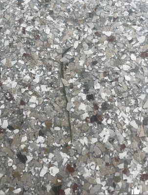 APOLLO CONCRETE COATINGS - Updated December 2025 - 32 Photos & 12 ...