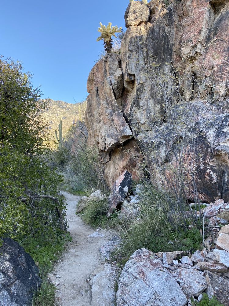 VENTANA CANYON HIKING TRAIL - 81 Photos & 25 Reviews - 7000 N Resort Dr ...