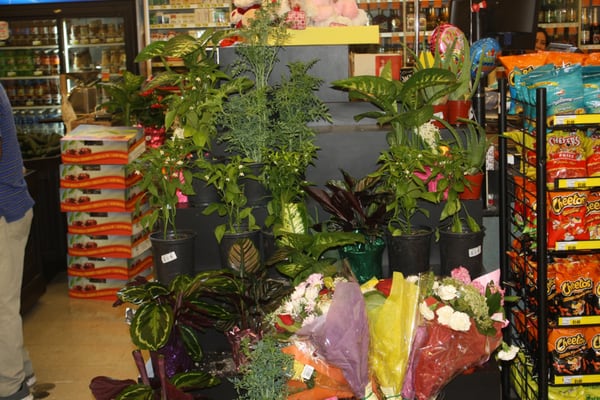 JONS FRESH MARKETPLACE - Updated April 2025 - 12 Photos - 3667 W 3rd St ...