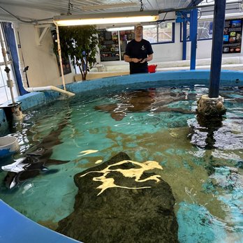 GULF SPECIMEN MARINE LABORATORIES - Updated February 2026 - 65 Photos ...