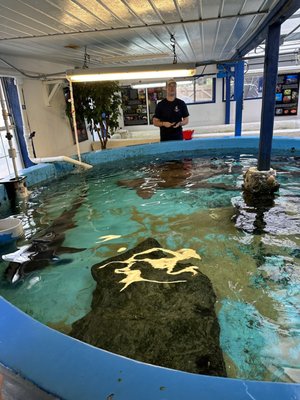 GULF SPECIMEN MARINE LABORATORIES - Updated October 2025 - 60 Photos ...