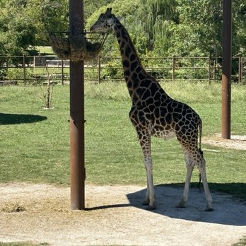 TULSA ZOO - Updated August 2025 - 529 Photos & 142 Reviews - 6421 E ...