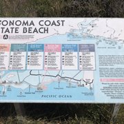 SHELL BEACH - 55 Photos - Beaches - 3095 Coast Hwy, Bodega Bay, CA - Yelp