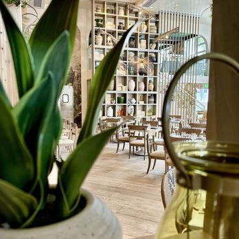 COPRA - Updated April 2025 - 2156 Photos & 611 Reviews - 1700 Fillmore ...