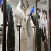 THE EVOLUTION STORE - Updated October 2025 - 325 Photos & 193 Reviews ...